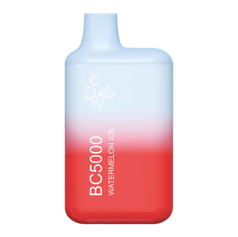 BC5000 Disposable Pod Vape
