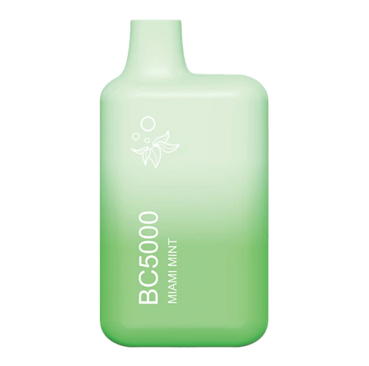 BC5000 Disposable Pod Vape