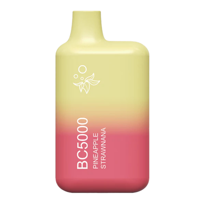 BC5000 Disposable Pod Vape