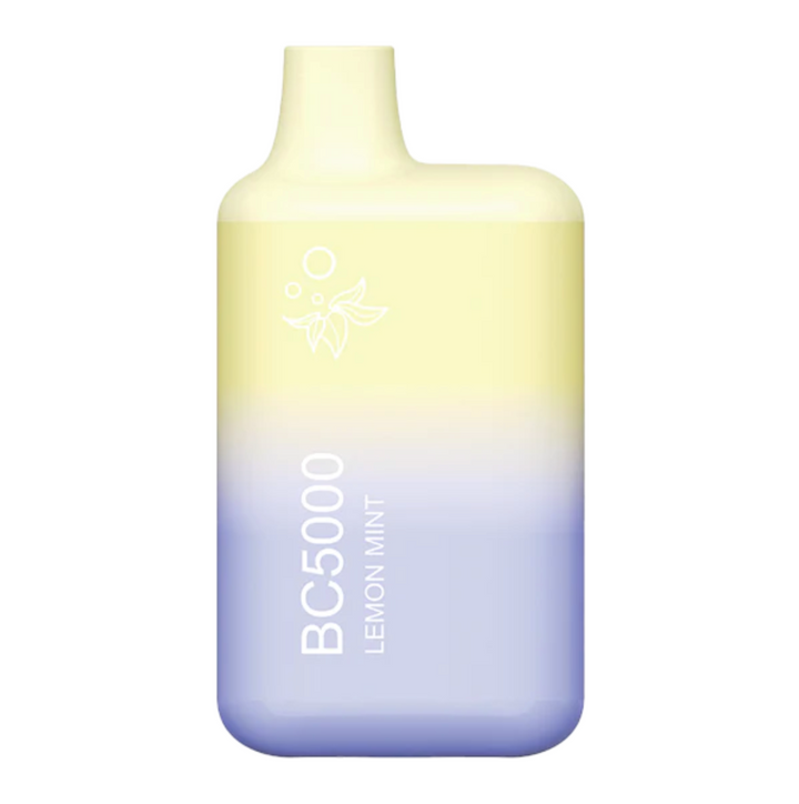 BC5000 Disposable Pod Vape