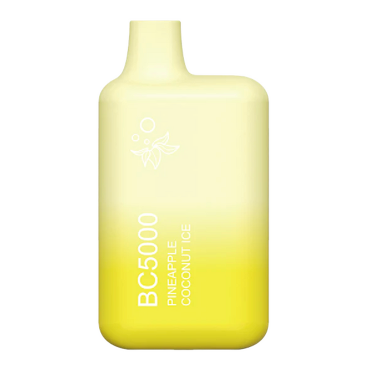 BC5000 Disposable Pod Vape