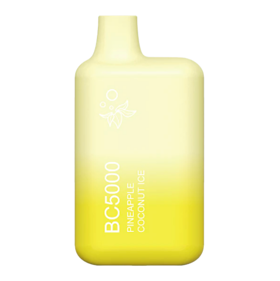 BC5000 Disposable Pod Vape