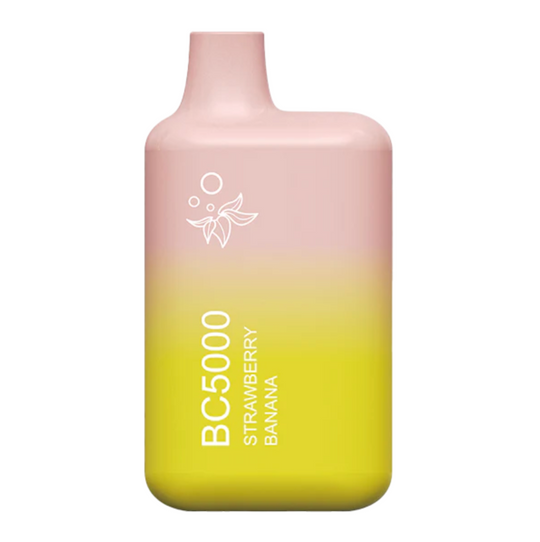 BC5000 Disposable Pod Vape