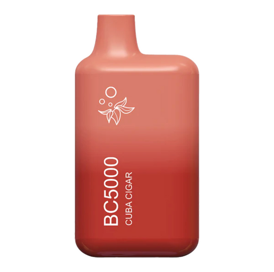 BC5000 Disposable Pod Vape