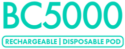 BC5000 Vape | Disposable Flavors | Official Online Store